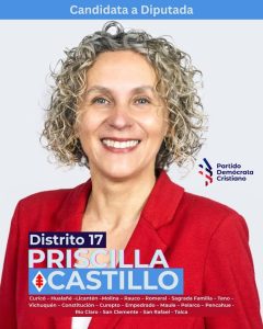 EL FUERTE RESPALDO QUE TIENE PRISCILLA CASTILLO EN MOLINA LA LLEVARÁ A ...